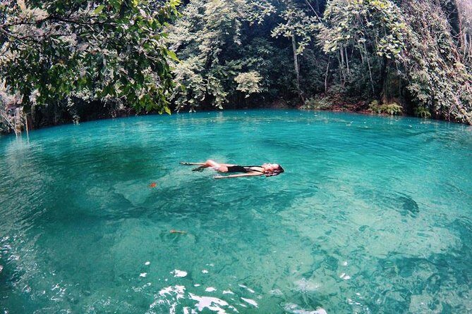 Oslob Whale Shark Swimming and Kawasan Falls Canyoneering - FAQ