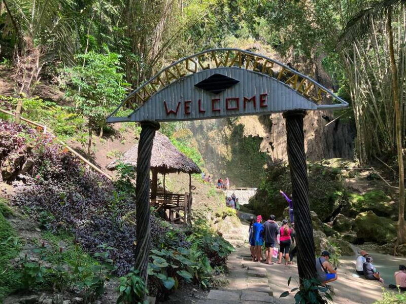 Oslob Whale Shark & Tumalog Waterfalls & Sumilon Sandbar - Pricing and Value: Is It Worth It?