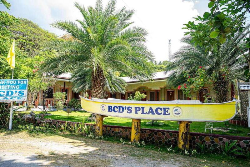 Oslob Whale Shark & Tumalog Waterfalls & Sumilon Sandbar - The Sum Up: Is This Tour Right for You?