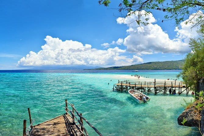 Oslob Whale Shark & Tumalog Waterfalls & Sumilon Sandbar - Analyzing the Value and Experience