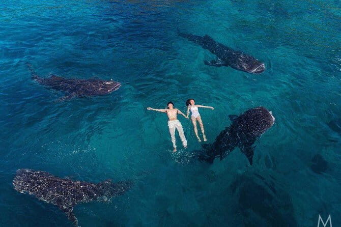 Oslob Whale Shark & Tumalog Waterfalls & Sumilon Sandbar - Final Thoughts