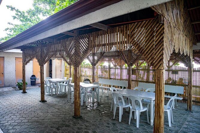 Oslob Whale Sharks and Moalboal Sardine Run, Sea Turtles Tour - Key Points