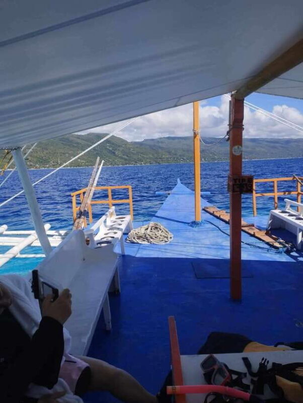 Oslob: Whale Sharks, Tumalog Falls & Sumilon Trio Adventure - Exploring Oslob’s Marine and Natural Wonders: A Detailed Look at the Whale Sharks, Tumalog Falls & Sumilon Island Adventure