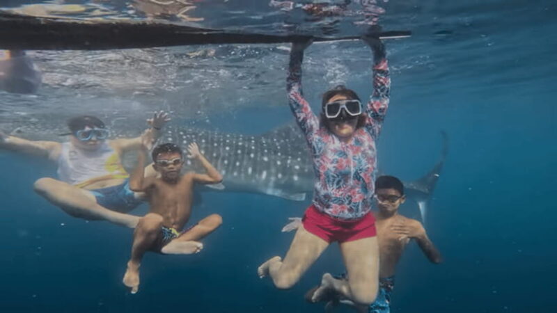 Oslob: Whale Sharks, Tumalog Falls & Sumilon Trio Adventure - Key Points: