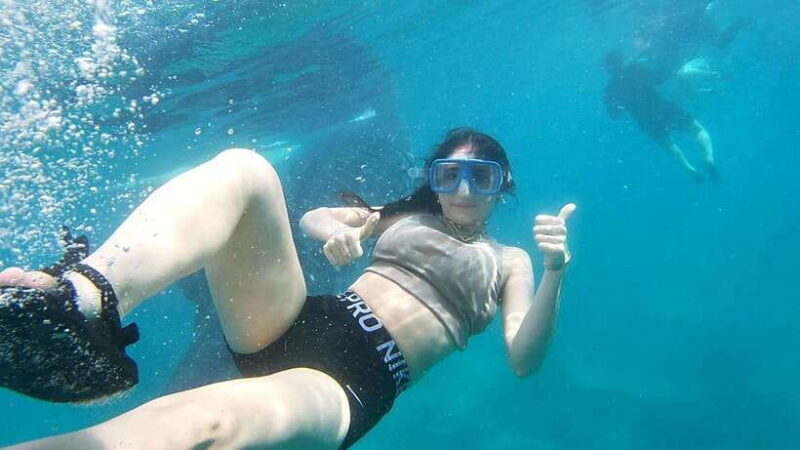 Oslob: Whaleshark Swimming, Tumalog Falls & Sumilon Island - Practical Details: What You Need to Know