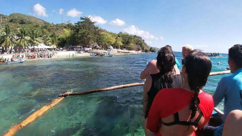 Oslob: Whaleshark Watching, Sumilon Island & Monkey Viewing - Key Points