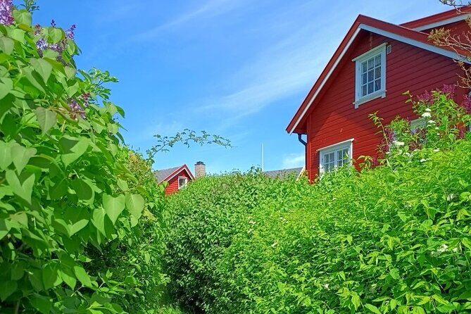 Oslofjord Island Hopping Tour - Key Points