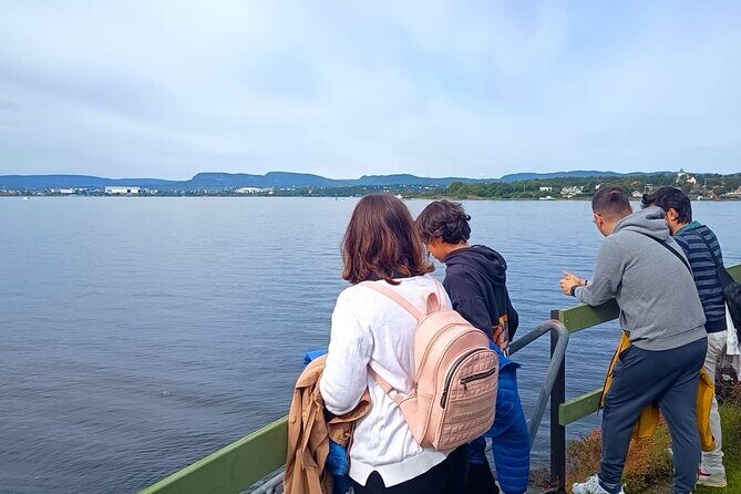 Oslofjord Island Hopping Tour - Why choose electric transportation?