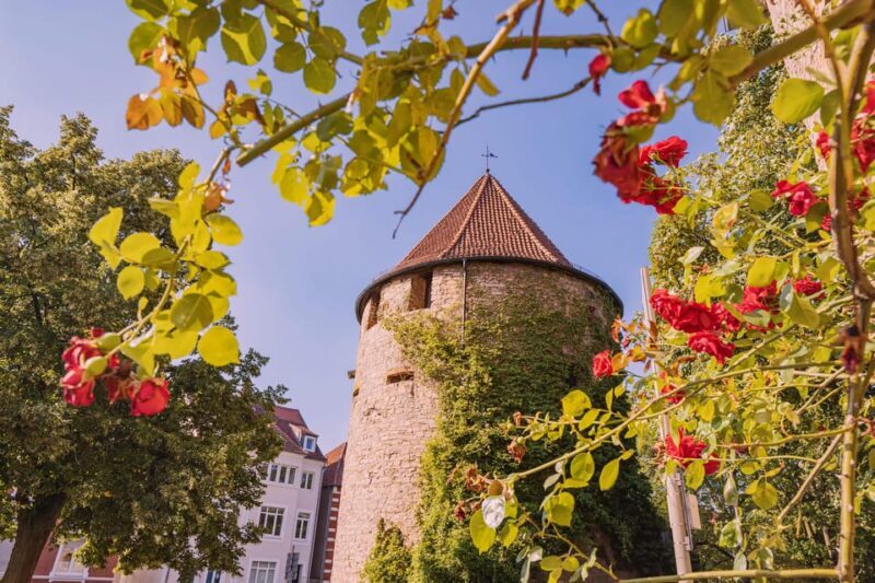 Osnabrück: Express Walk with a Local - Exploring Osnabrück on a Local’s Pace: The Express Walk Review
