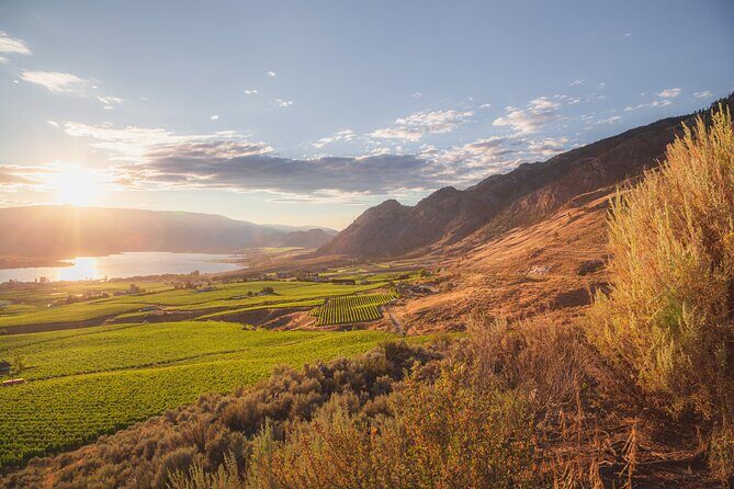 Osoyoos Half Day Wine Tour (Incl. Tasting Fees & Guide Gratuity!) - In-Depth Look at the Osoyoos Half Day Wine Tour