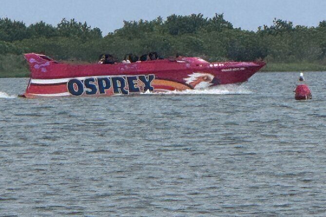 Osprey: A Unique Jet Boat Experience - Setting the Scene: What the Experience Offers