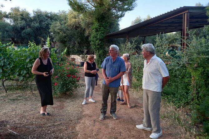 Ostuni DOC winetour and tasting. - Key Points