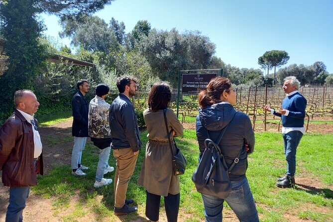 Ostuni DOC winetour and tasting. - Practical Details: Making the Most of Your Experience