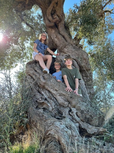 Ostuni e-bike tour. The olive trees and a local oil mill - Discovering the Charm of Ostuni’s Olive Groves on an E-Bike Tour