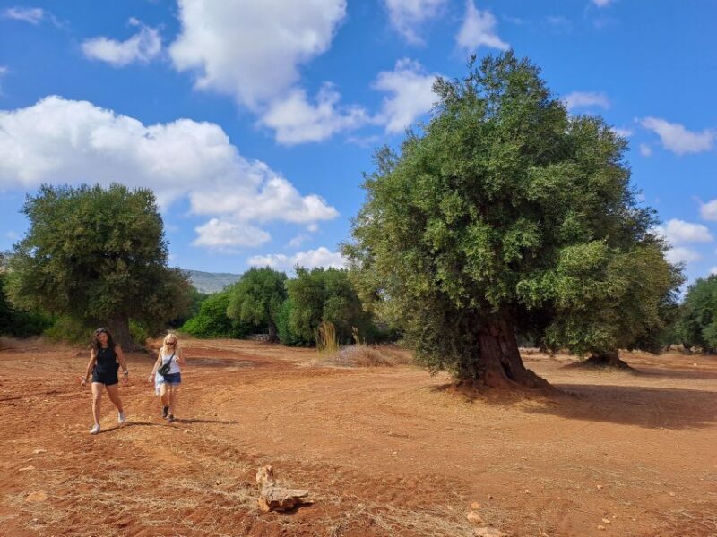Ostuni: E-Bike Tour with a Glass of Wine & Bruschetta - Key Points
