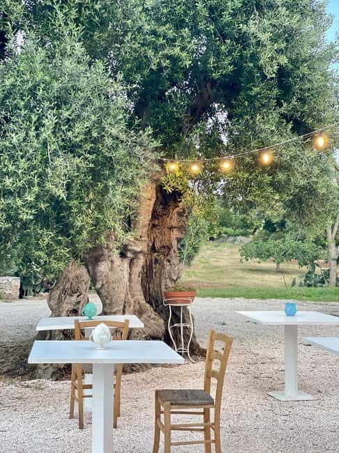Ostuni: Farm tour among thousand-year-old olive trees with oil tasting - Practical Details: What to Expect