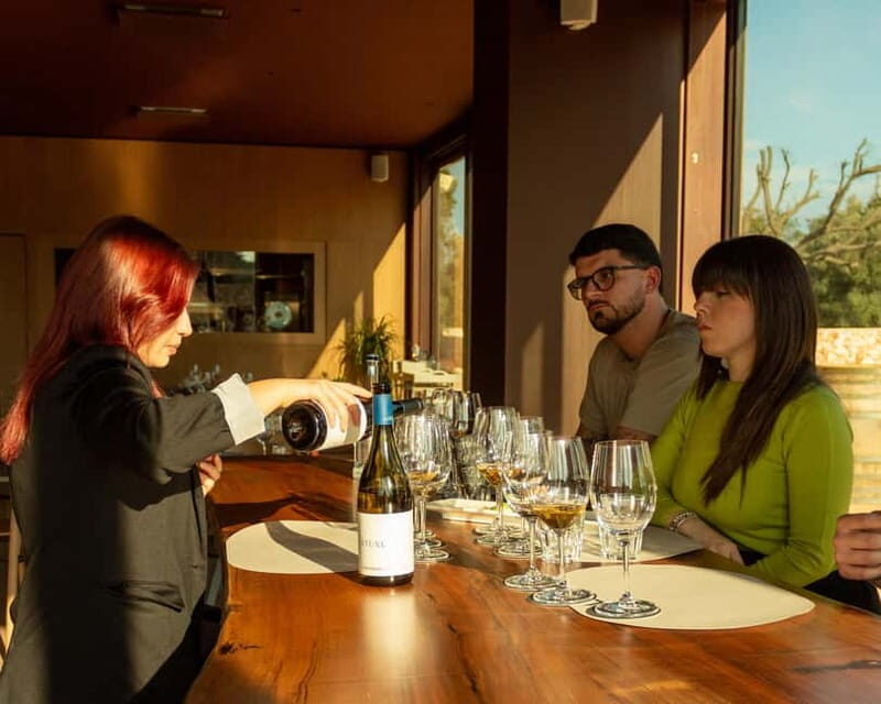 Ostuni organic wines - tour and tasting in the winery - Key Points