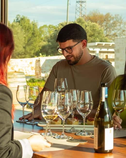 Ostuni organic wines - tour and tasting in the winery - Overview of the Experience