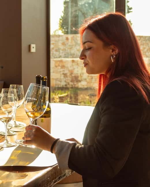 Ostuni organic wines - tour and tasting in the winery - Who Will Enjoy This Tour