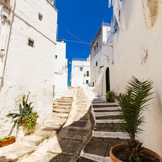 Ostuni: Private City Walking Tour with Local Guide - Key Points