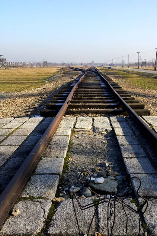 Oswiecim: Auschwitz-Birkenau Skip-the-Line Entry Tickets - Who Should Consider This Tour?