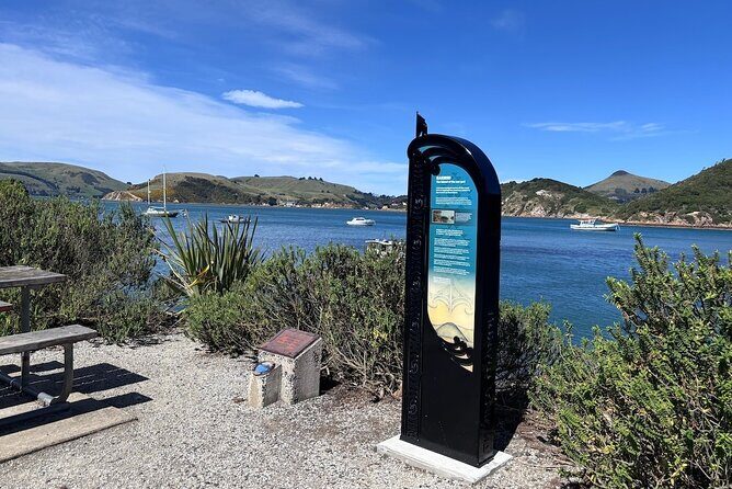 Otago Harbour by Bike: A Self Guided Tour - Exploring Otago Harbour by Bike: A Detailed Look