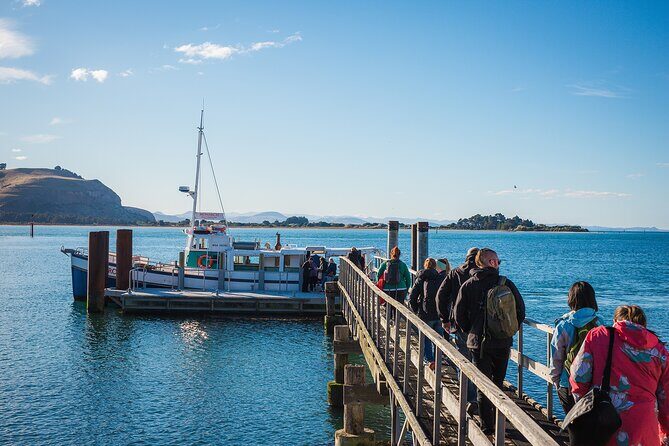 Otago Peninsula Wildlife Cruise with Monarch - Key Points
