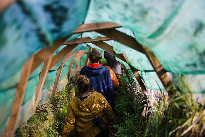 Otago Peninsula Wildlife Tour & Cruise - A Full Day of Otago Peninsula Discovery