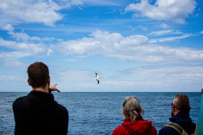 Otago Peninsula Wildlife Tour & Cruise - FAQ