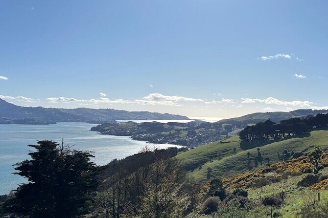 Otago Peninsula's Hidden Gems: A Self Guided Driving Tour - Key Points