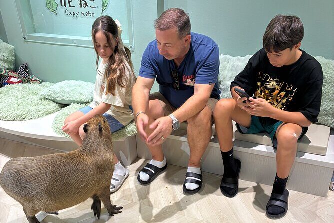 Otaku Tour in Akihabara - Summing It Up: Who Is This Tour For?