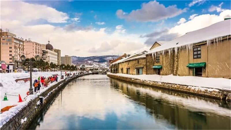 Otaru: Guided Walking Tour with Canal Custom Private Day - Key Points