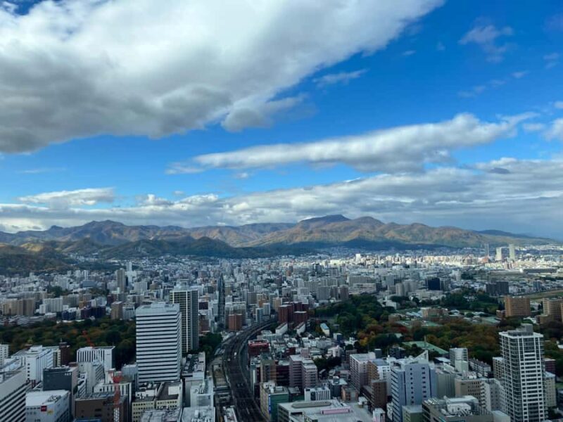 Otaru & Sapporo: Full-Day Tour with Train Ride - An In-Depth Look at the Full-Day Tour Experience