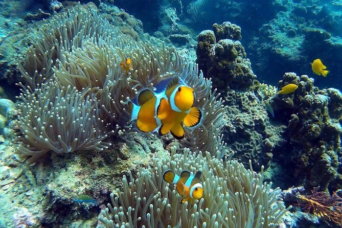 Other side of heaven Eco friendly snorkeling adventure - The Sum Up: Is It Worth It?