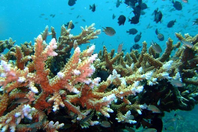 Other side of heaven Eco friendly snorkeling adventure - Frequently Asked Questions