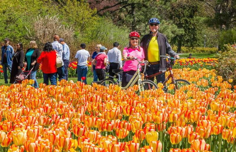 Ottawa: 2 or 3.5-Hour Guided Bike Tour with a Local Guide - Analyzing the Tour Itself: What to Expect