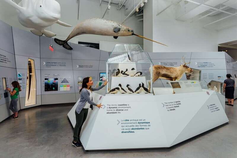 Ottawa: Canadian Museum of Nature Admission - The Atlantic & Pacific Marine Environments