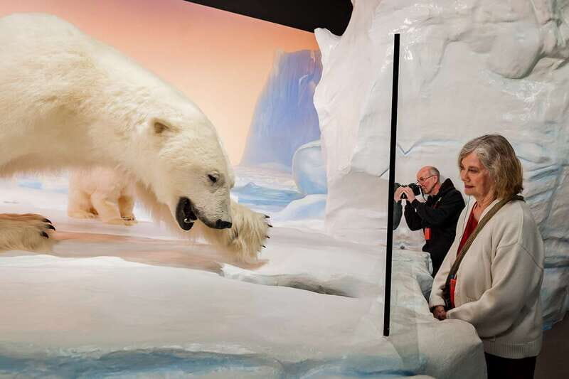 Ottawa: Canadian Museum of Nature Admission - Live and Interactive Exhibits