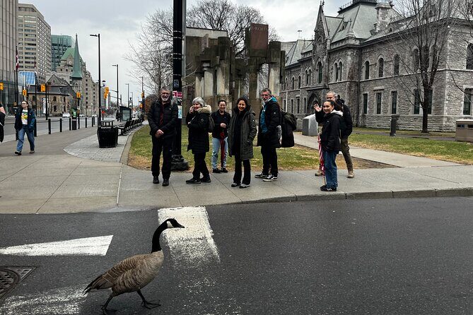 Ottawa City Highlights 3 Hour Walking Tour | Gratuity-Based - The Sum Up