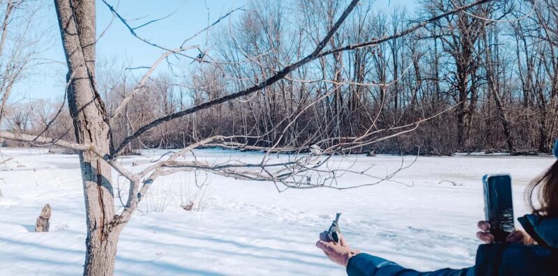 Ottawa: Guided Nature Walk & Wildlife Tour with Hotel Pickup - Exploring the Details of the Tour