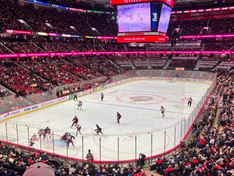 Ottawa: Ottawa Senators Ice Hockey Game Ticket - Who Will Love This Experience?