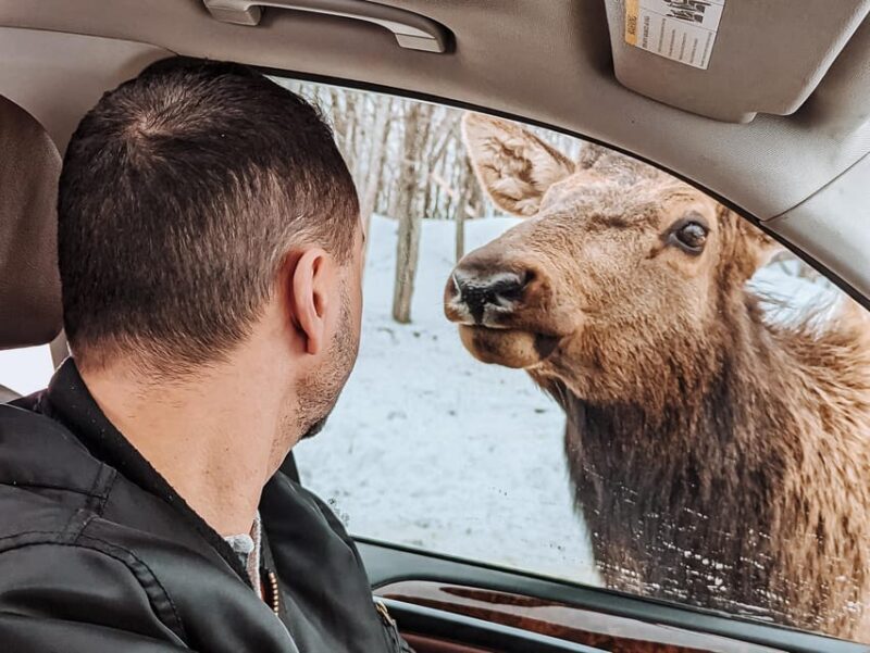 Ottawa: Private Wildlife Adventure Safari in Parc Omega - Who Is This Tour Best For?
