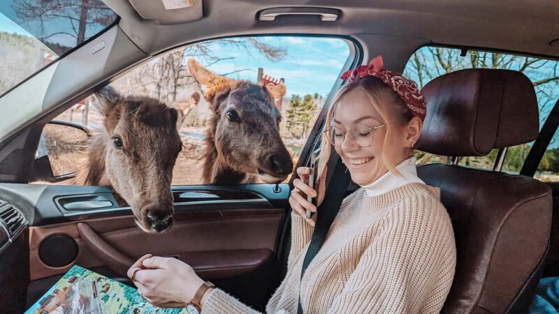 Ottawa: Private Wildlife Adventure Safari in Parc Omega - Final Thoughts