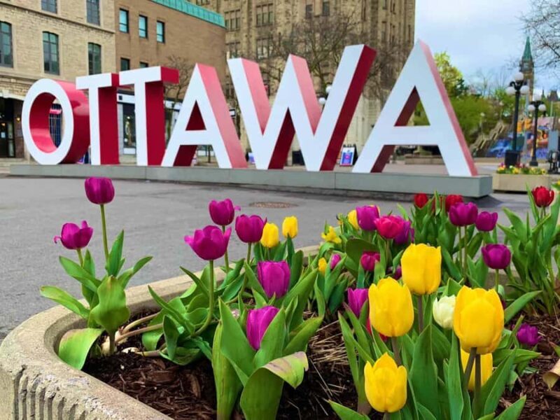 Ottawa: Tulip Festival and ByWard Market Tour - Exploring Ottawa’s Blooming Heart: The Canadian Tulip Festival