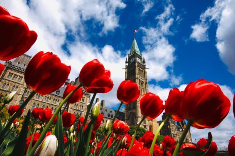 Ottawa: Tulip Festival and ByWard Market Tour - Discovering the Historic Heart: ByWard Market