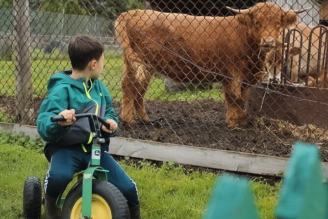 Ottawa Valleyview Little Animal Farm Tour - What to Expect from the Ottawa Valleyview Little Animal Farm Tour