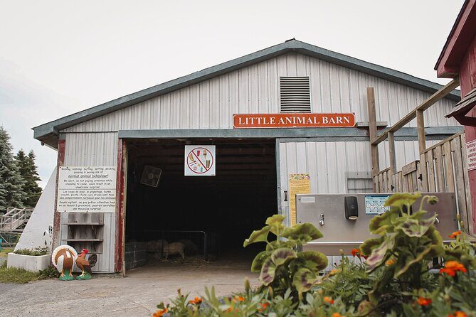 Ottawa Valleyview Little Animal Farm Tour - Who Will Love This Experience?