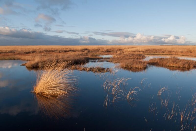 Otterlo: De Hoge Veluwe National Park Entry Ticket - Key Points