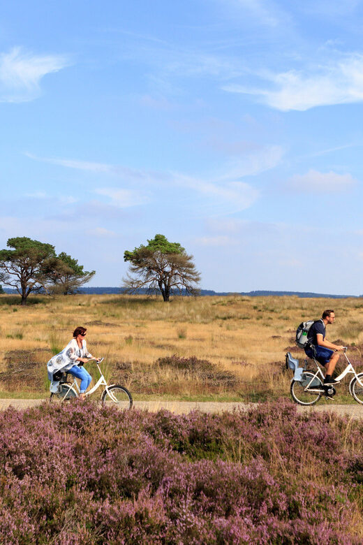 Otterlo: De Hoge Veluwe National Park Entry Ticket - What to Expect on Your Day