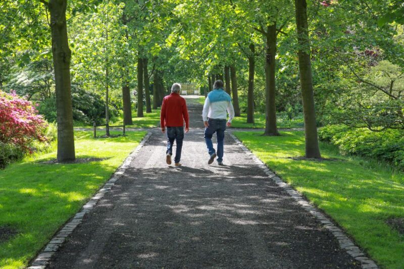 Oudenbosch: Guided City Walk - Key Points